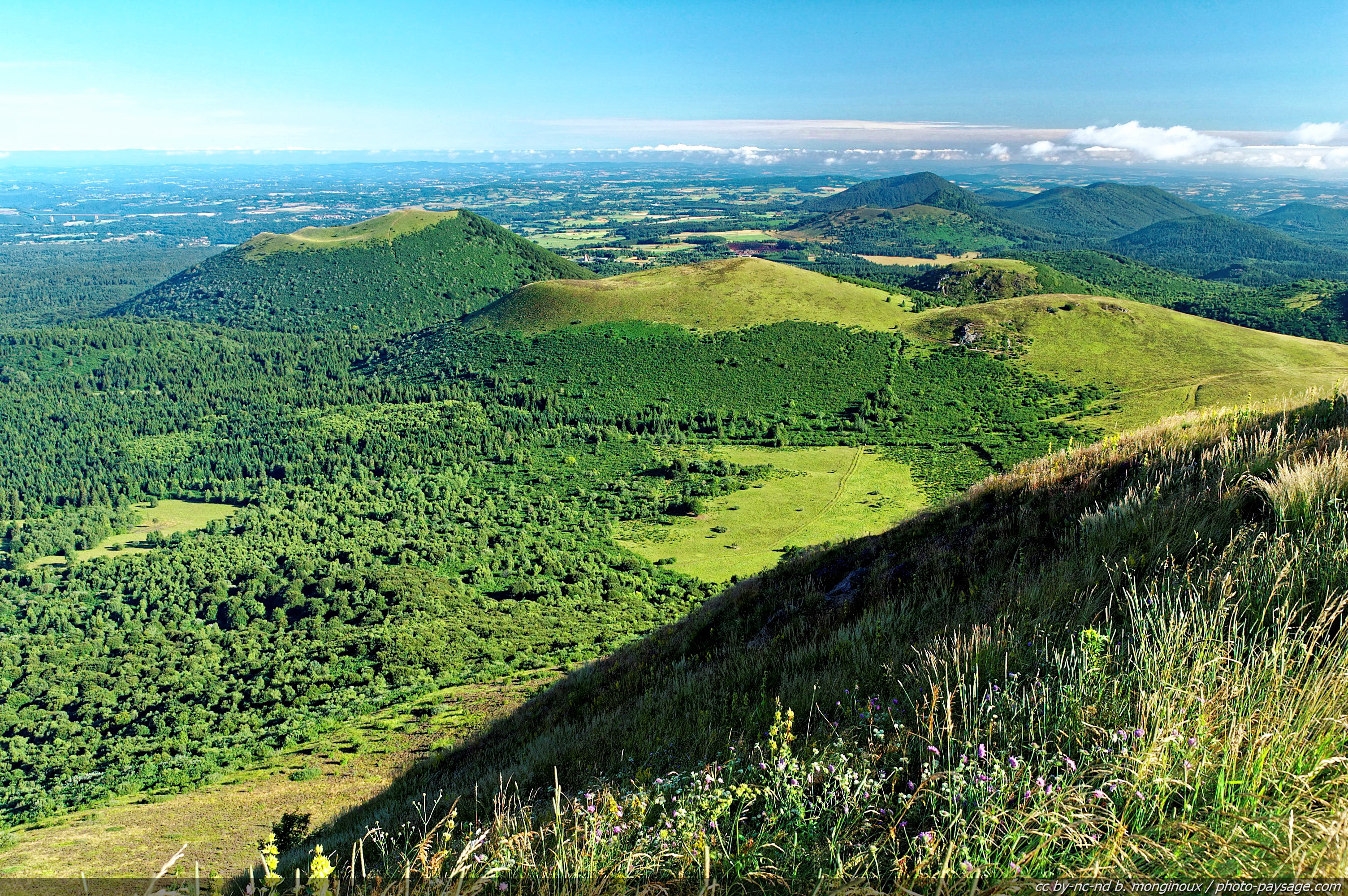 Cliquez ici pour afficher et télécharger le FOND D'ECRAN