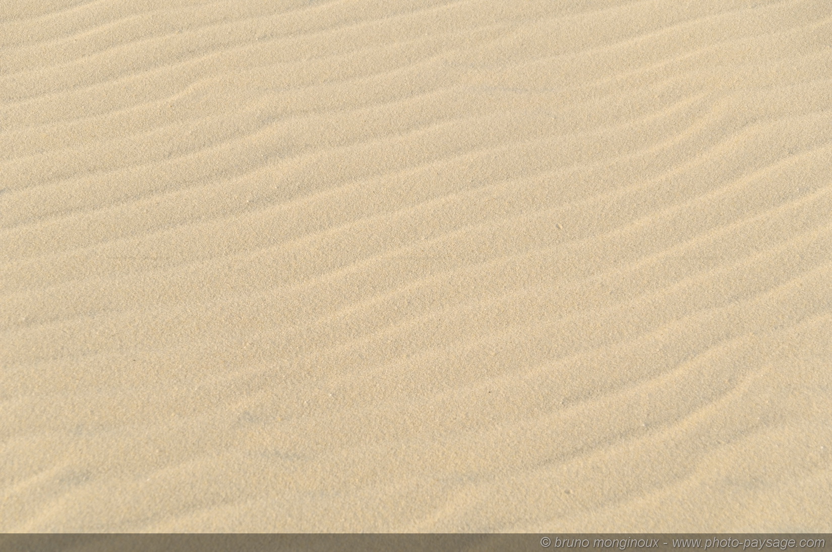 Photo-Paysage.com: Cliquer sur l'image pour fermer cette vue