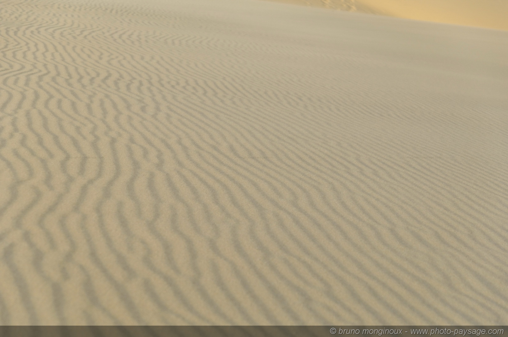 Sable à sabler - Trendyyy.com