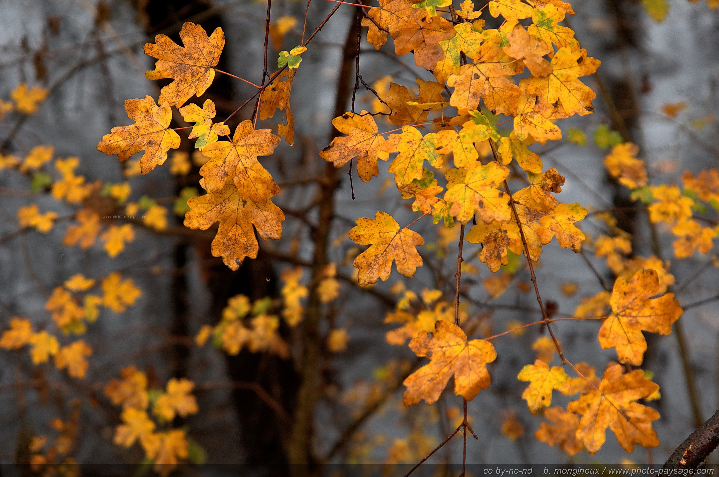 Automne : les plus belles images | Photo-Paysage.com, le blog